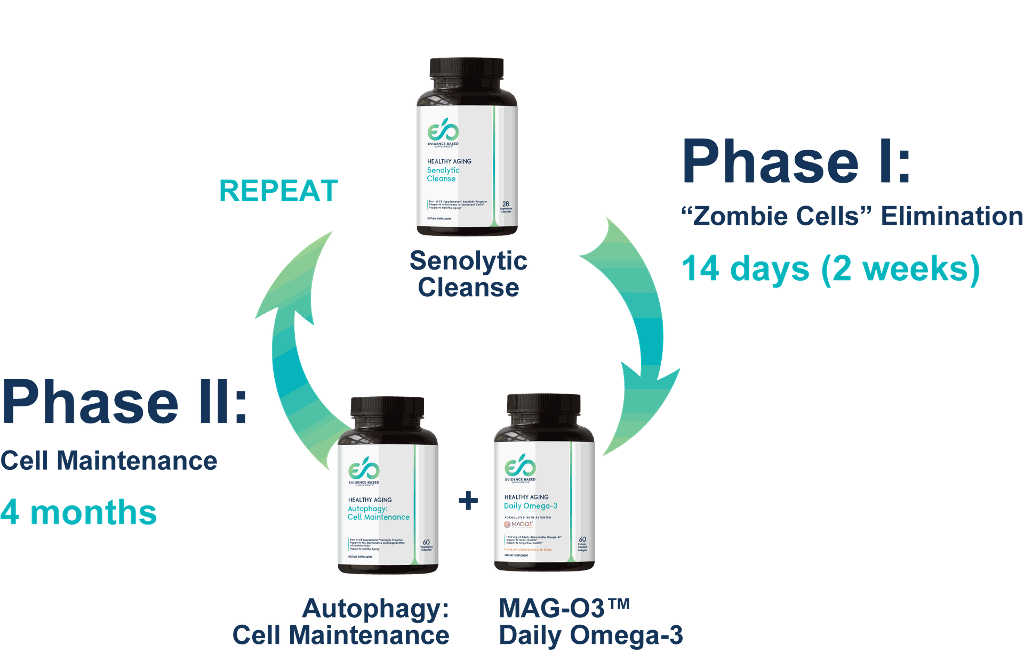 EB Supplements' Two-Step Senolytic Program for Healthy Aging